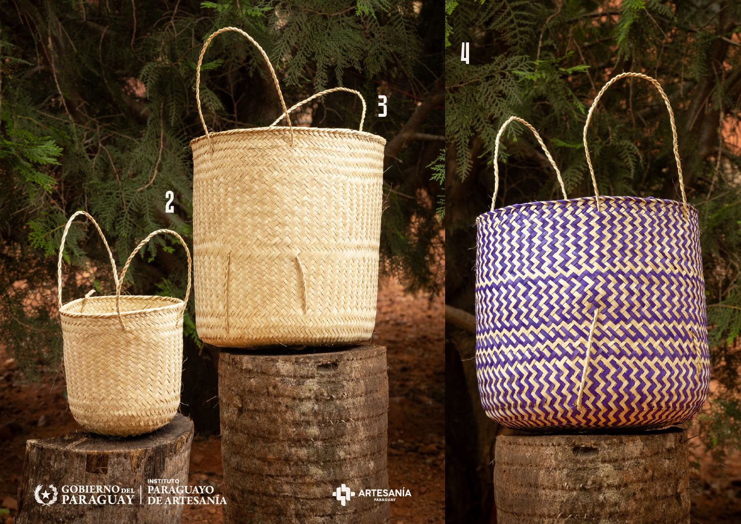 El IPA invita a elegir cestería nacional • PARAGUAY TV